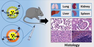 Impact of metallic coating on the retention of 225Ac and its daugthers ...