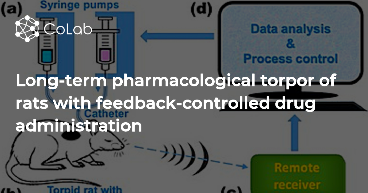 Long-term pharmacological torpor of rats with feedback-controlled drug ...
