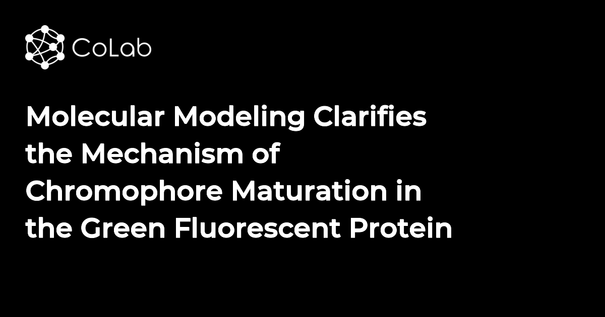 Molecular Modeling Clarifies the Mechanism of Chromophore Maturation in ...