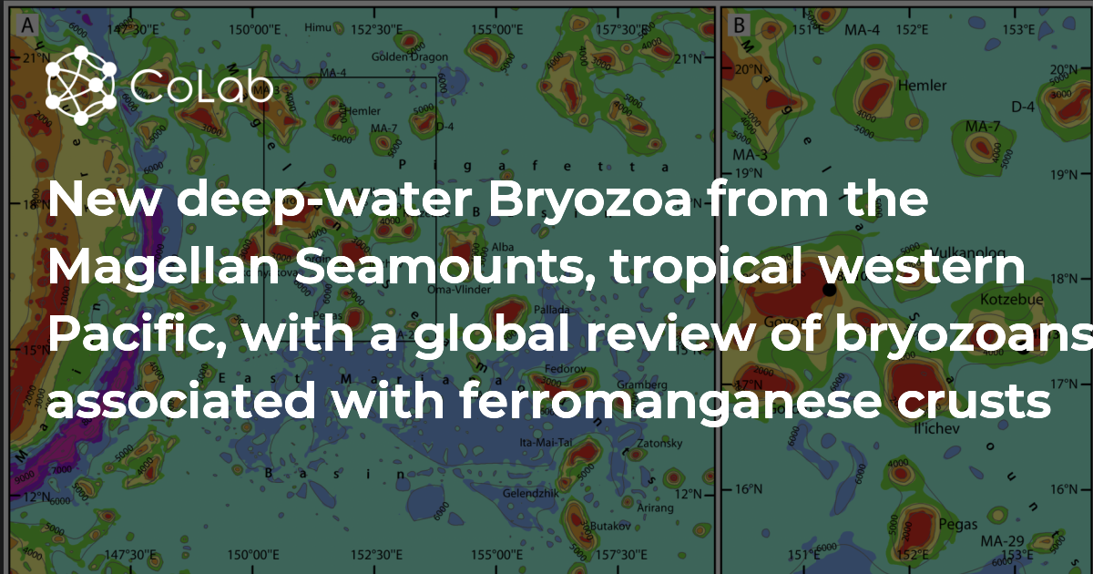 New deep-water Bryozoa from the Magellan Seamounts, tropical western ...