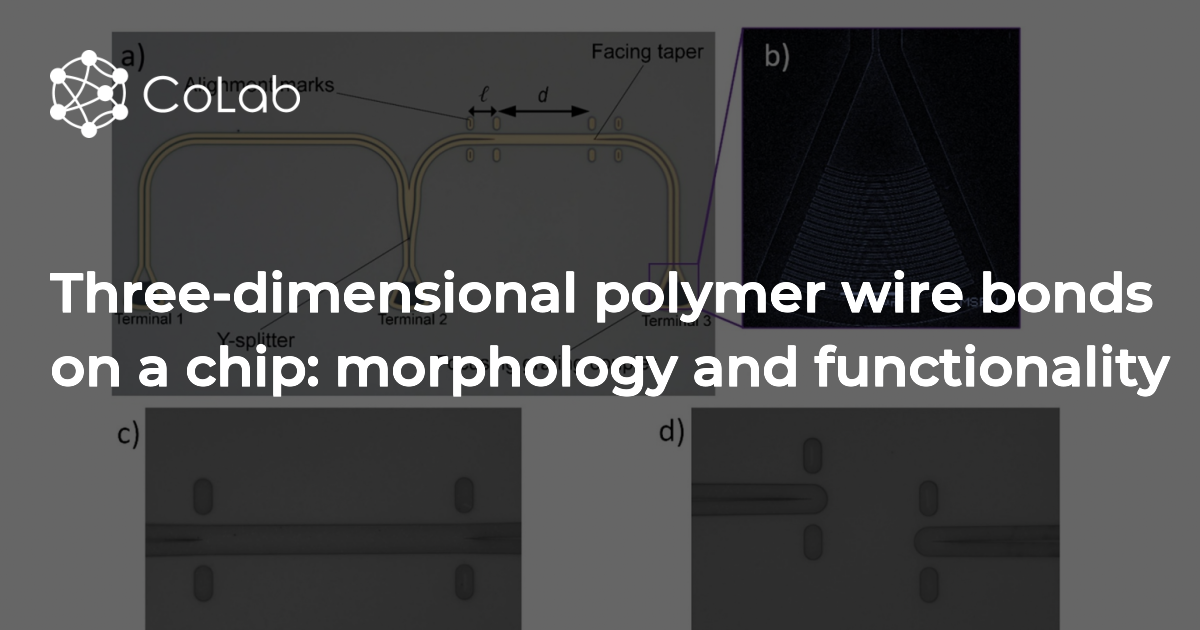 Three-dimensional polymer wire bonds on a chip: morphology and ...
