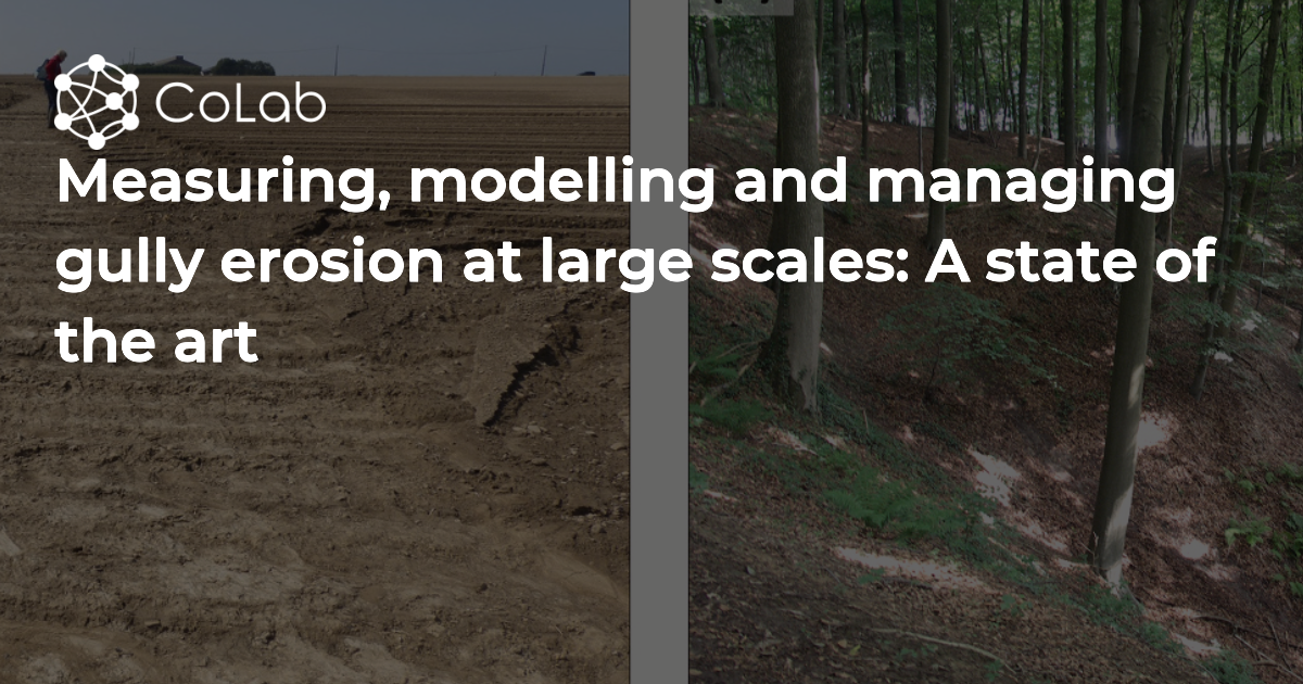 Measuring, modelling and managing gully erosion at large scales: A ...