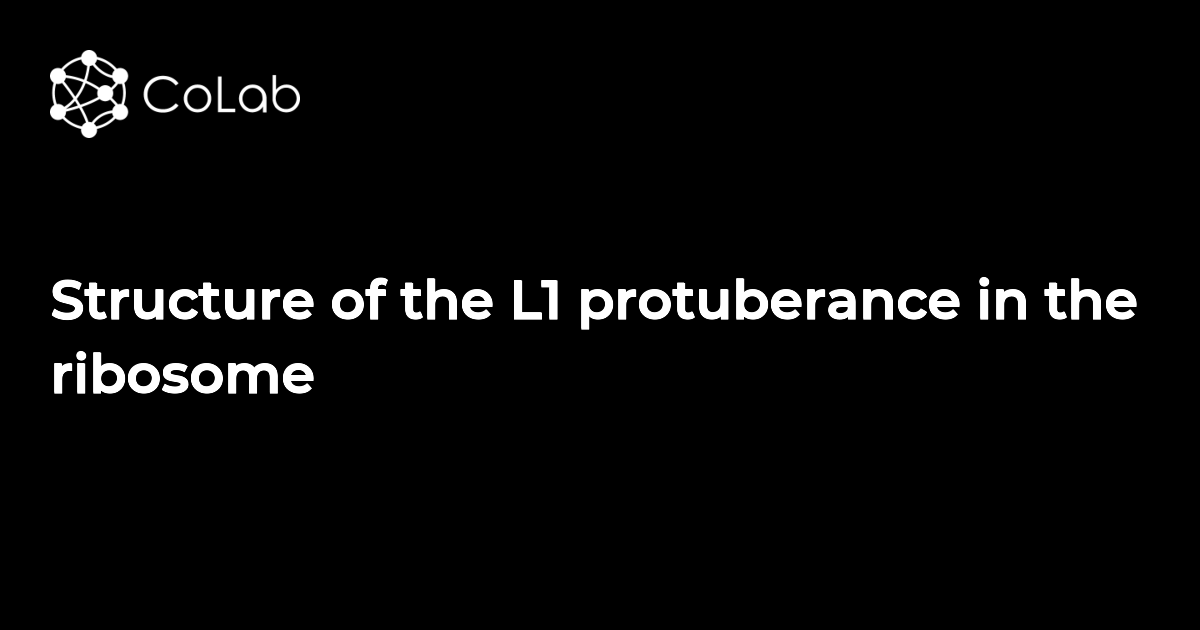 Structure of the L1 protuberance in the ribosome | CoLab