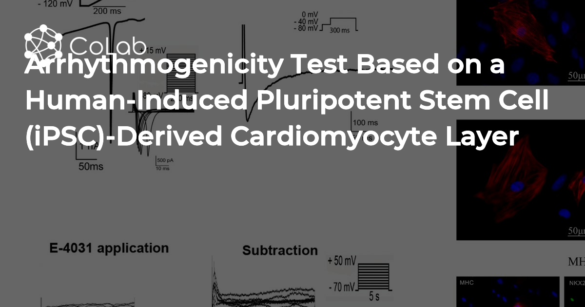 Arrhythmogenicity Test Based on a Human-Induced Pluripotent Stem Cell ...