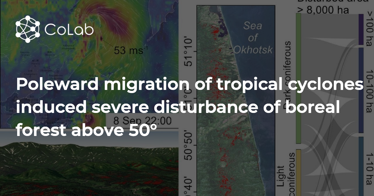 Poleward migration of tropical cyclones induced severe disturbance of ...