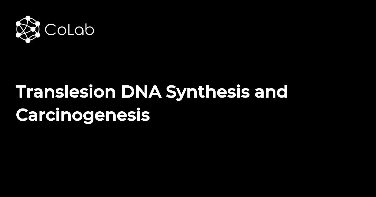 Translesion DNA Synthesis and Carcinogenesis | CoLab