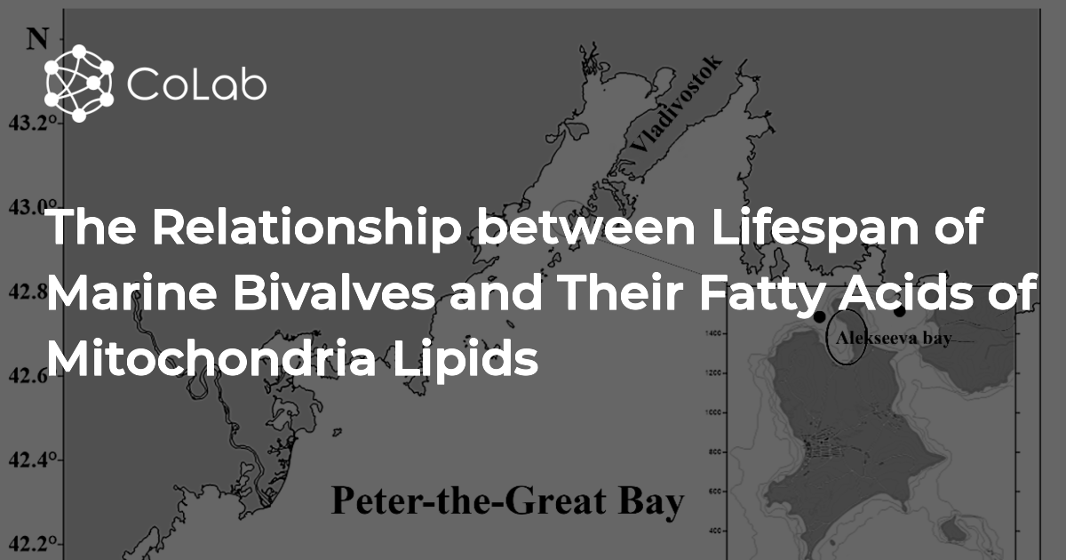 The Relationship between Lifespan of Marine Bivalves and Their Fatty ...