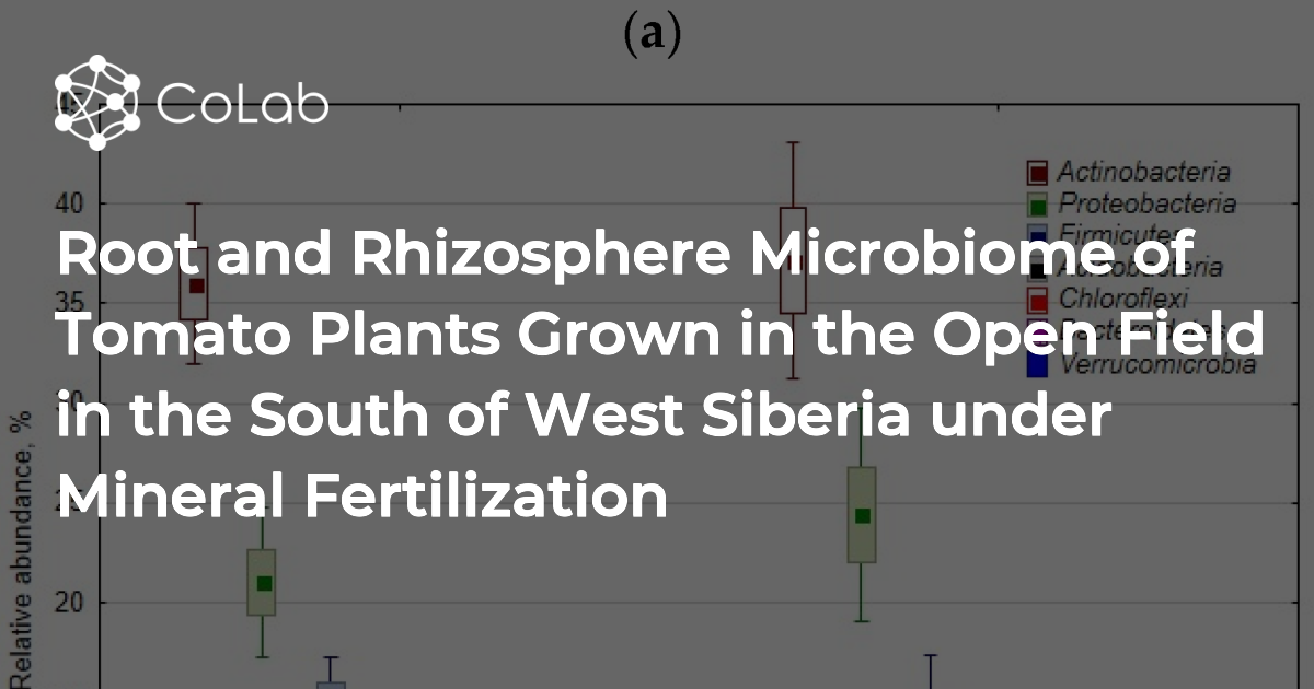 Root and Rhizosphere Microbiome of Tomato Plants Grown in the Open ...