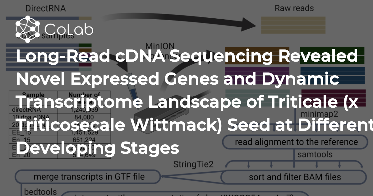 Long-Read cDNA Sequencing Revealed Novel Expressed Genes and Dynamic ...