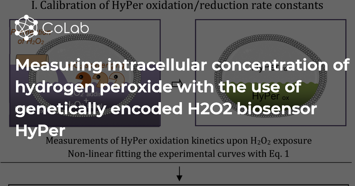 Measuring intracellular concentration of hydrogen peroxide with the use ...