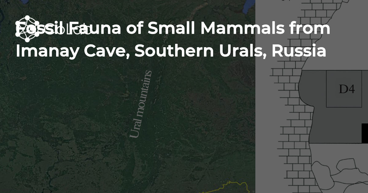 Fossil Fauna of Small Mammals from Imanay Cave, Southern Urals, Russia ...