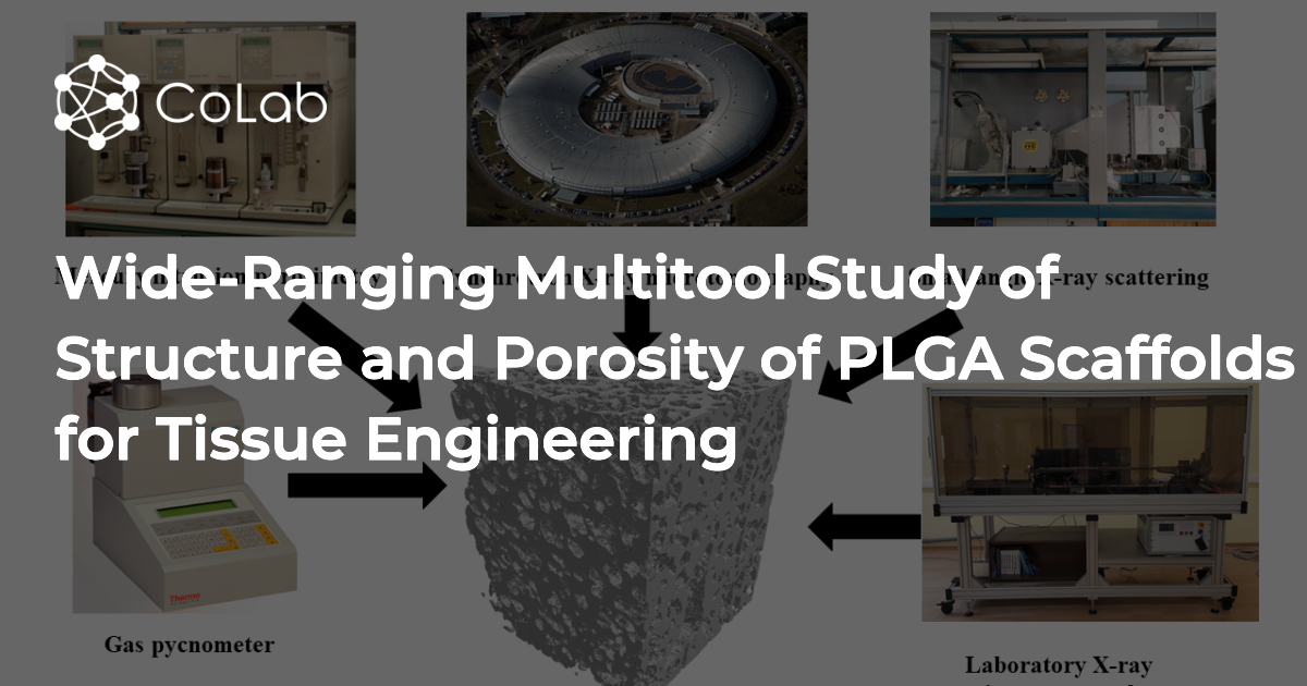 Wide-Ranging Multitool Study of Structure and Porosity of PLGA ...