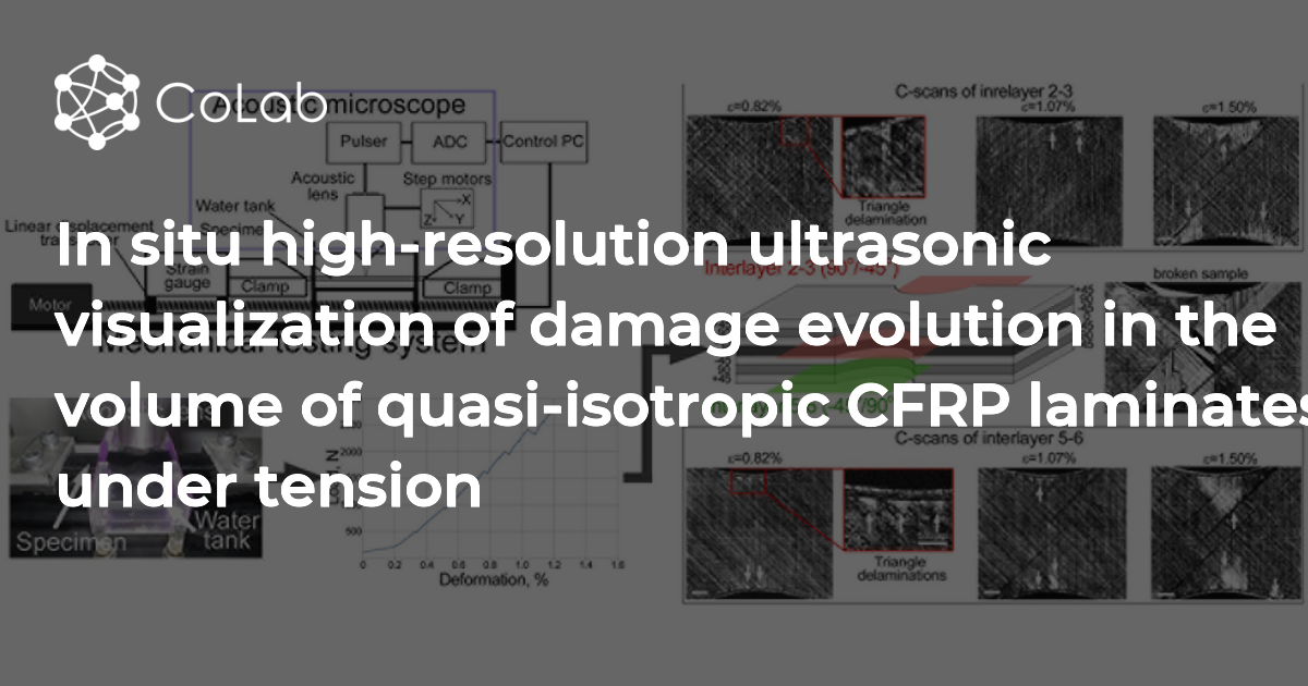 In situ high-resolution ultrasonic visualization of damage evolution in ...