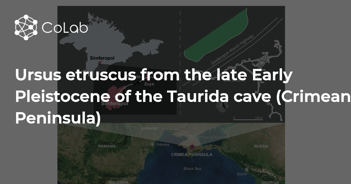 Ursus etruscus from the late Early Pleistocene of the Taurida сave ...