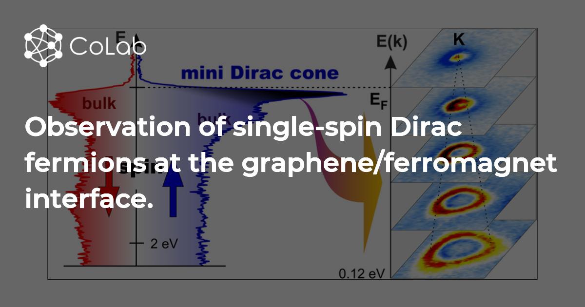 Observation of single-spin Dirac fermions at the graphene/ferromagnet ...