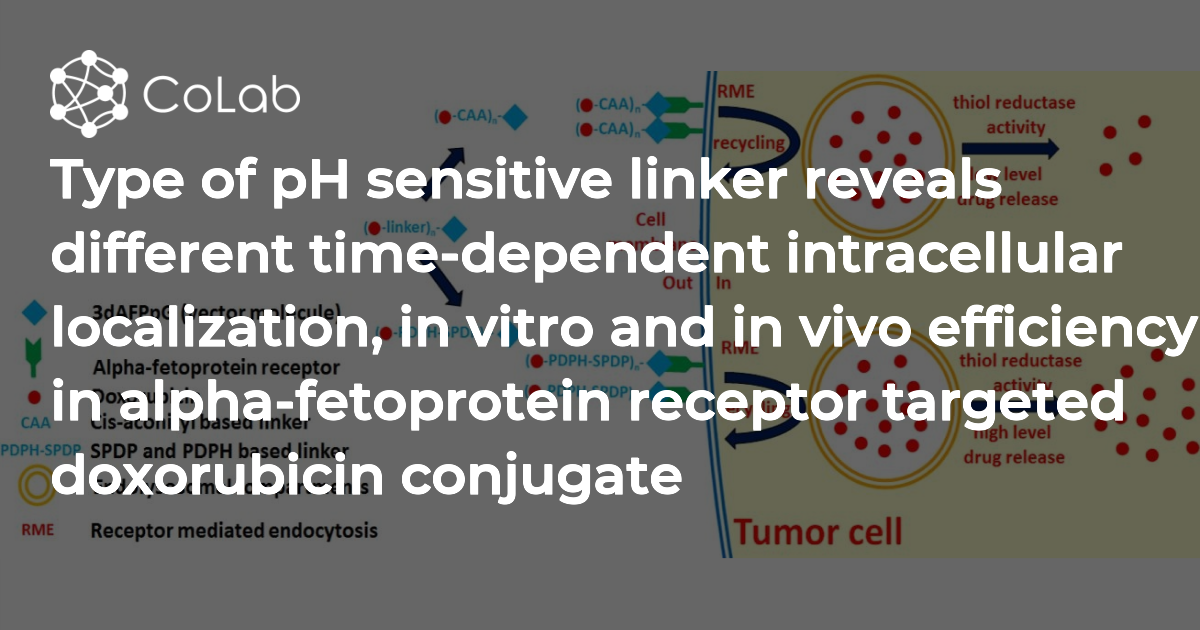 Type of pH sensitive linker reveals different time-dependent ...