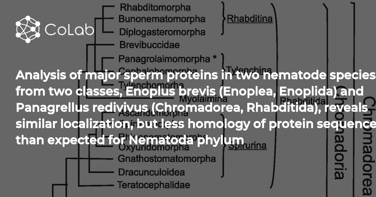 Analysis of major sperm proteins in two nematode species from two ...