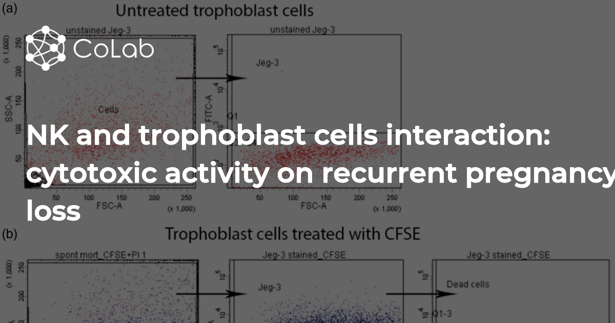NK and trophoblast cells interaction: cytotoxic activity on recurrent ...