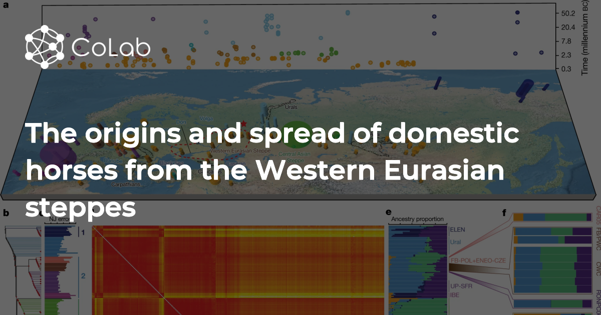 The origins and spread of domestic horses from the Western Eurasian ...