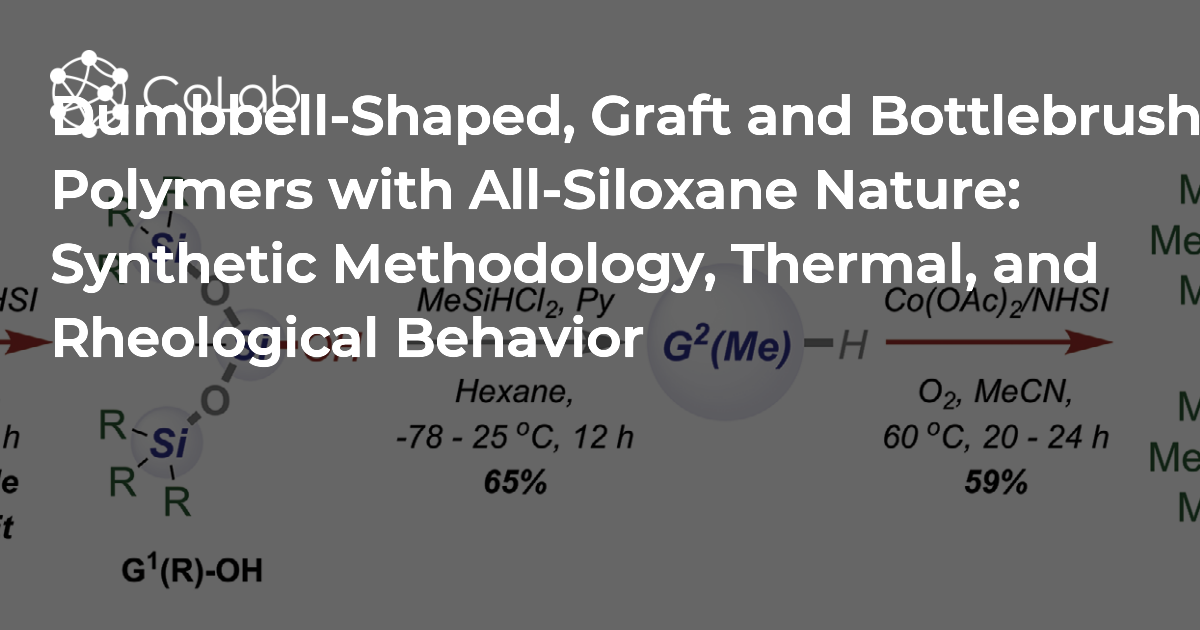 Dumbbell‐Shaped, Graft and Bottlebrush Polymers with All‐Siloxane ...