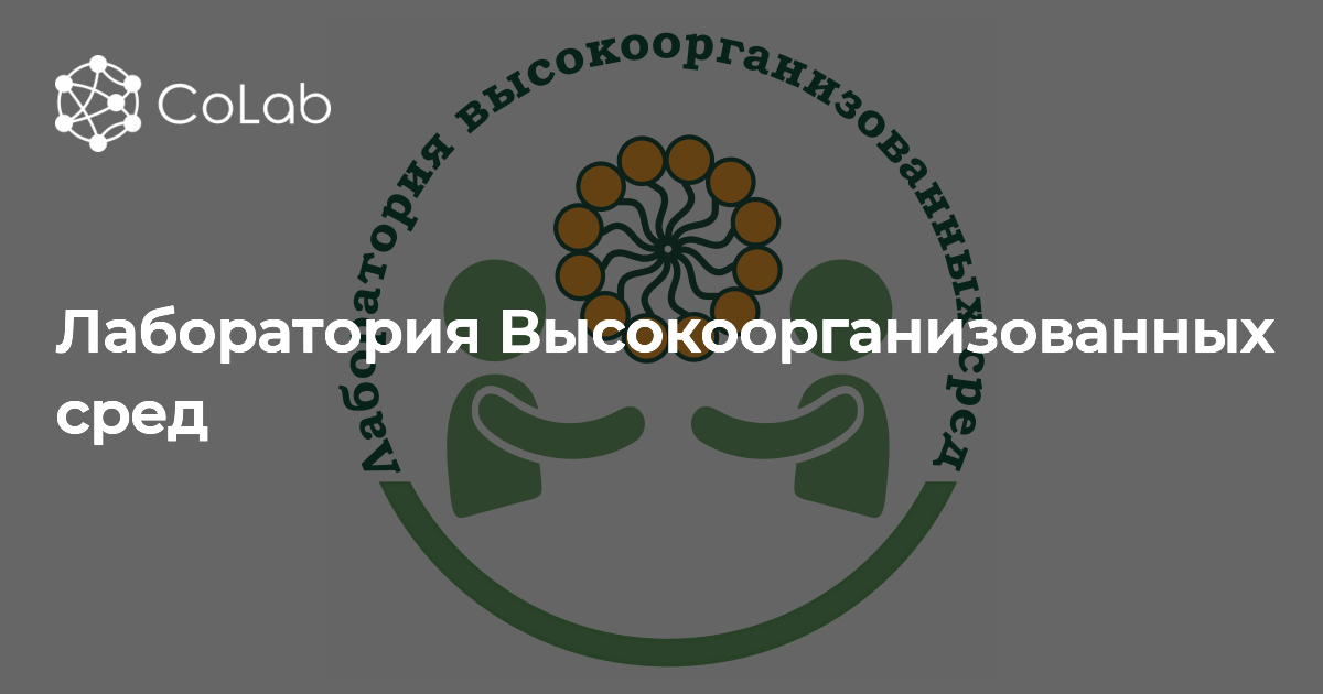 Laboratory of Highly Organized Environments | CoLab