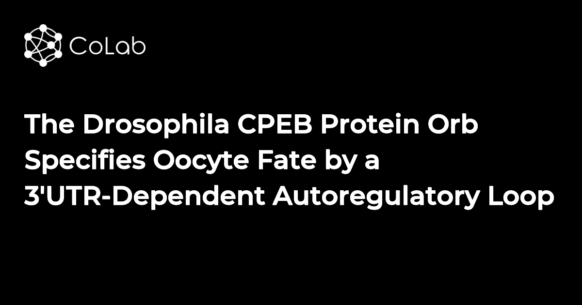 The Drosophila CPEB Protein Orb Specifies Oocyte Fate by a 3′UTR ...
