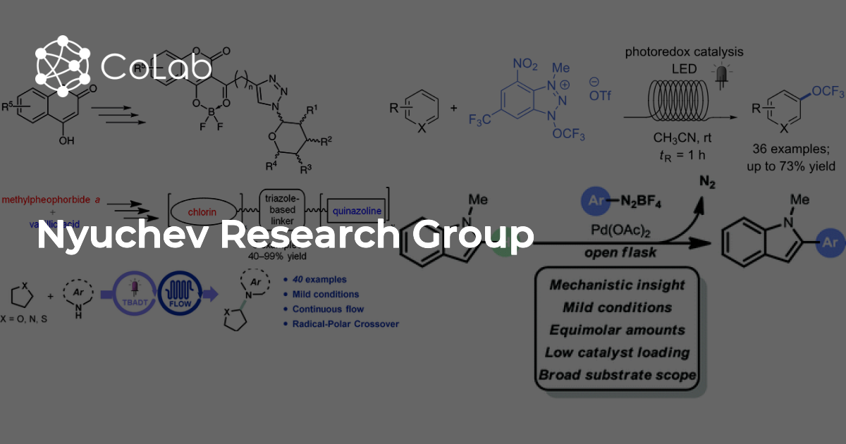 Nyuchev Research Group | CoLab
