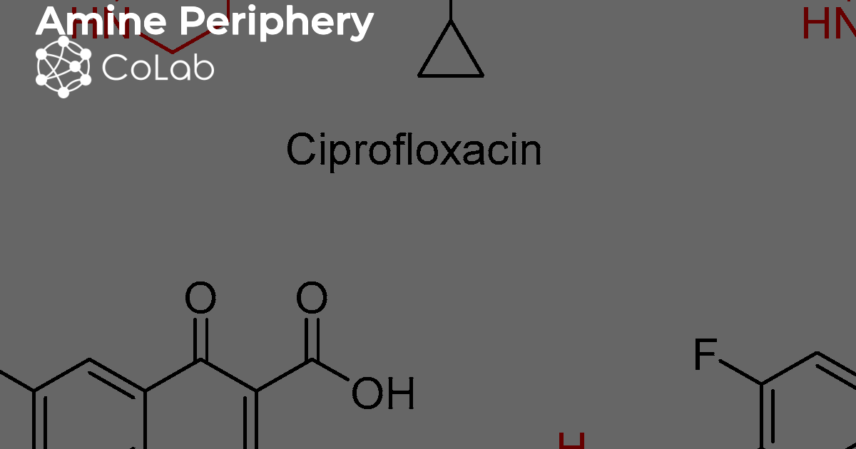 Synthesis and Antibacterial Evaluation of Ciprofloxacin Congeners with ...