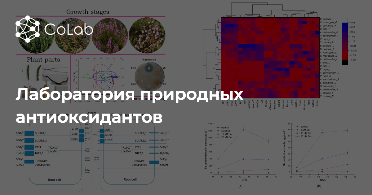 Laboratory of Natural Antioxidants | CoLab
