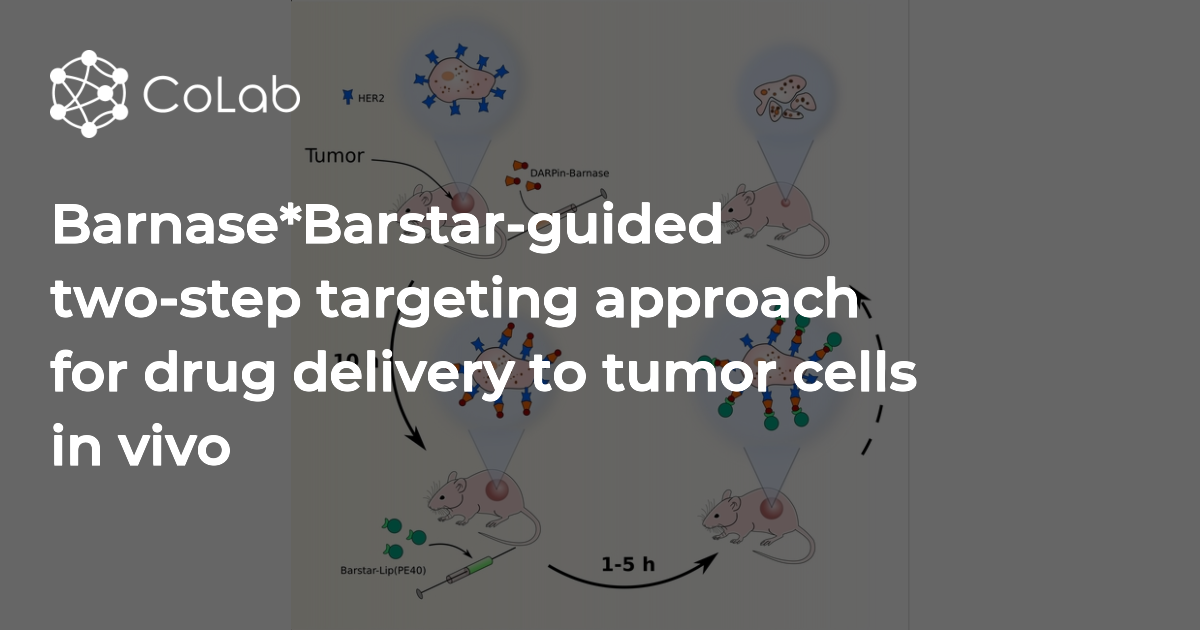 Barnase*Barstar-guided two-step targeting approach for drug delivery to ...