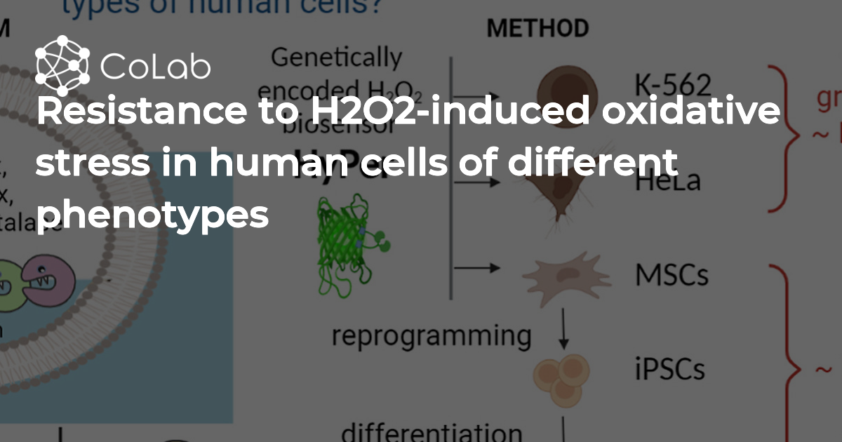 Resistance to H2O2-induced oxidative stress in human cells of different ...