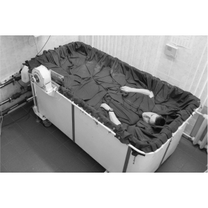 Acute effects of Dry Immersion on kinematic characteristics of postural ...
