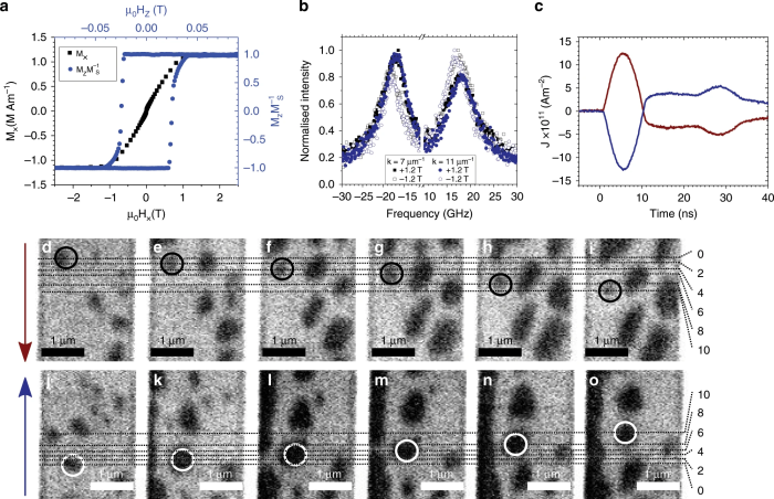Diameter-independent skyrmion Hall angle observed in chiral magnetic ...