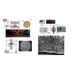 Laboratory of Advanced Electrophysical Technologies and New Materials ...