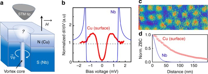 Expansion of a superconducting vortex core into a diffusive metal | CoLab