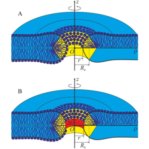 Pore formation in lipid membrane I: Continuous reversible trajectory ...