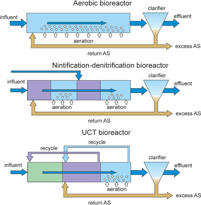 The structure of microbial communities of activated sludge of large ...