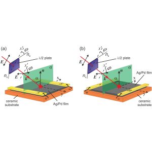 Interplay of the photon drag and the surface photogalvanic effects in ...
