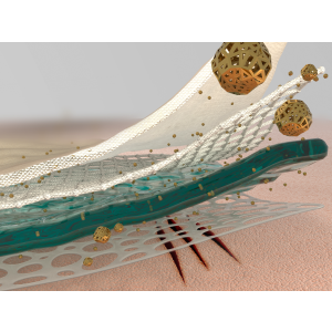 Ceo2 nanoparticle-containing polymers for biomedical applications: A ...