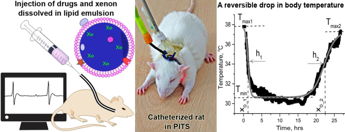 A pharmacological composition for induction of a reversible torpor-like ...
