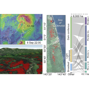 Poleward migration of tropical cyclones induced severe disturbance of ...