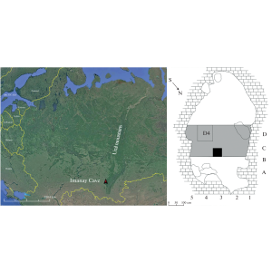 Fossil Fauna of Small Mammals from Imanay Cave, Southern Urals, Russia ...