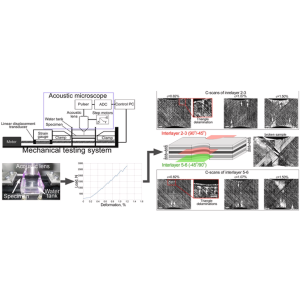 In situ high-resolution ultrasonic visualization of damage evolution in ...
