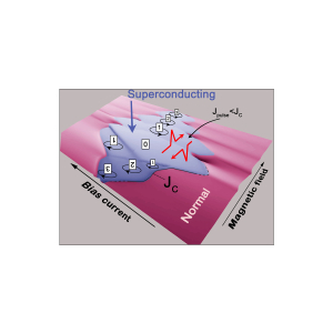 Revealing Josephson Vortex Dynamics in Proximity Junctions below ...