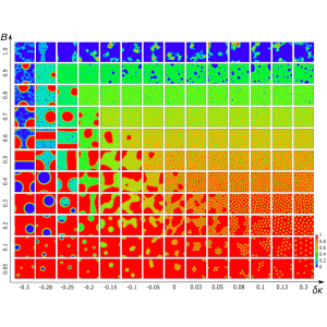 Universal flux patterns and their interchange in superconductors ...