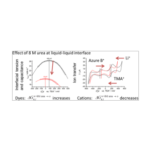 Effect of Chaotropes on the Transfer of Ions and Dyes across the Liquid ...