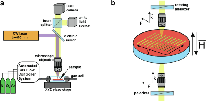 Micron-scale crystallization of Bi:YIG by laser rapid thermal annealing ...