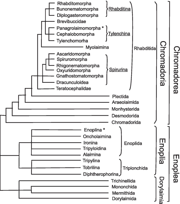 Analysis of major sperm proteins in two nematode species from two ...
