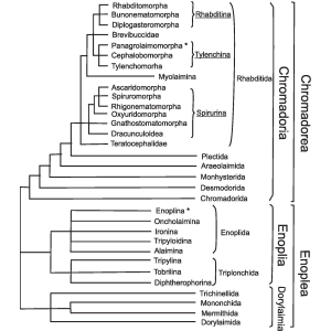 Analysis of major sperm proteins in two nematode species from two ...