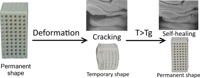 Mechanical properties and shape memory effect of 3D-printed PLA-based porous scaffolds | CoLab